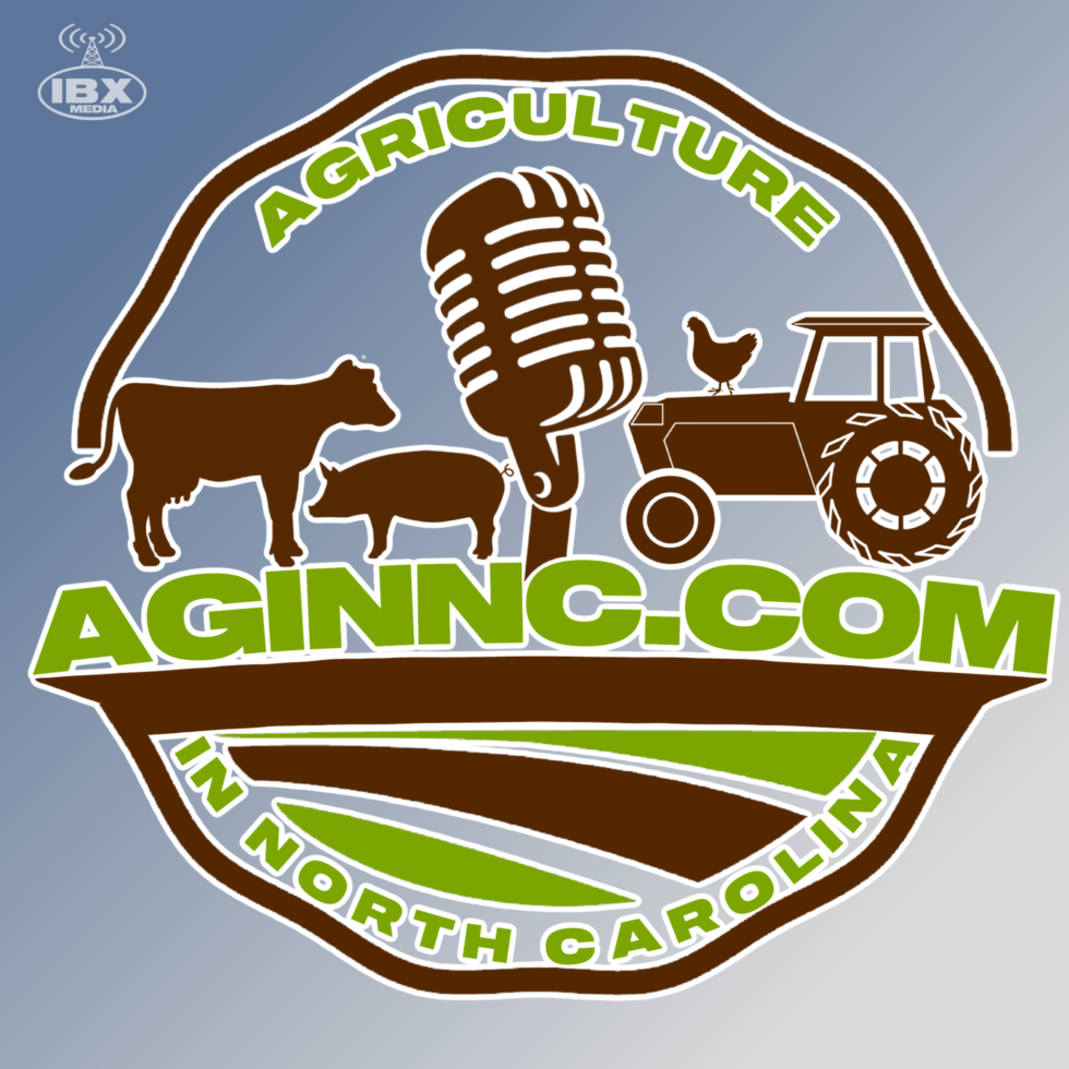 IBX | Inner Banks Media